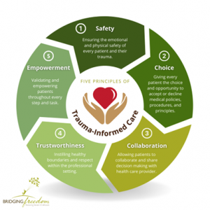 What is Trauma-Informed Care? | Bridging Freedom